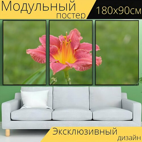 Модульный постер "Лили, цветок, завод" 180 x 90 см. для интерьера