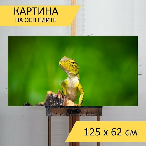 Картина на ОСП 125х62 см. "Хамелеон, фон, изолированные" горизонтальная, для интерьера, с креплениями