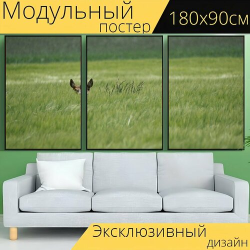 Модульный постер "Олень, зерновое поле, природа" 180 x 90 см. для интерьера