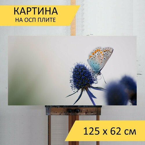 Картина на ОСП 125х62 см. "Макрос, бабочка, цвести" горизонтальная, для интерьера, с креплениями