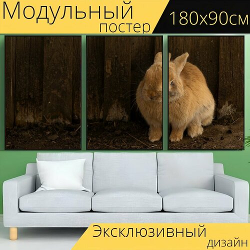 Модульный постер "Животное, заяц, кролик" 180 x 90 см. для интерьера