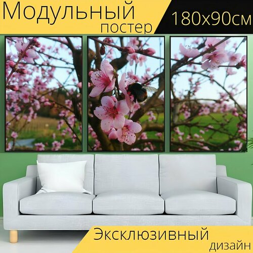 Модульный постер "Персик, цвести, персиковое дерево" 180 x 90 см. для интерьера