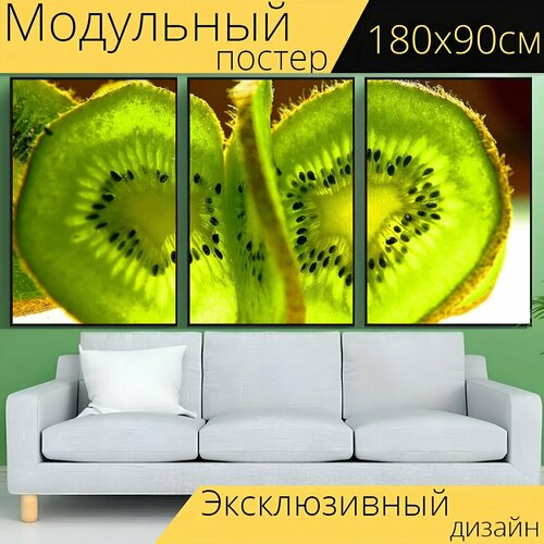 Модульный постер "Киви, фрукты, диск" 180 x 90 см. для интерьера
