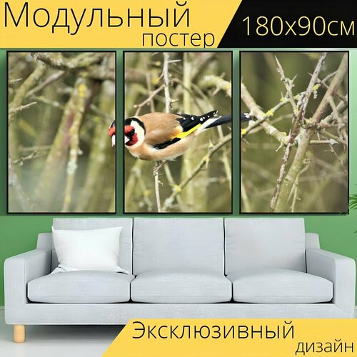 Модульный постер "Птица, щегол, природа" 180 x 90 см. для интерьера