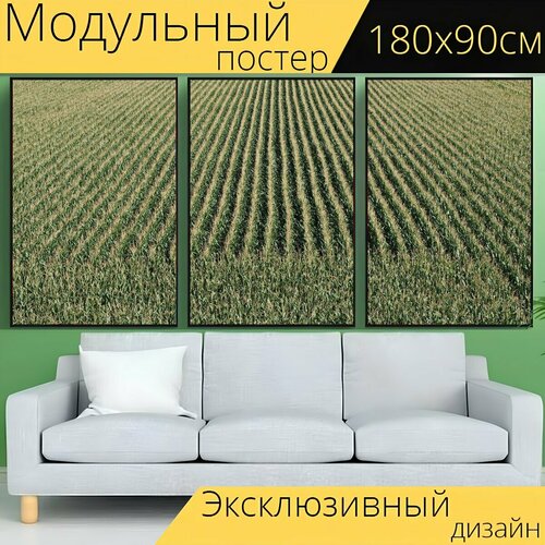 Модульный постер "Кукурузное поле, зерно, кукуруза" 180 x 90 см. для интерьера