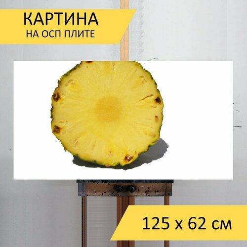 Картина на ОСП 125х62 см. "Фрукты, ананас, поперечное сечение" горизонтальная, для интерьера, с креплениями
