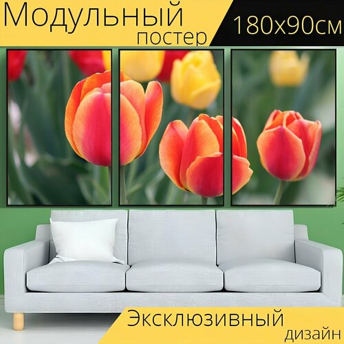 Модульный постер "Тюльпаны, апельсин, желтый" 180 x 90 см. для интерьера