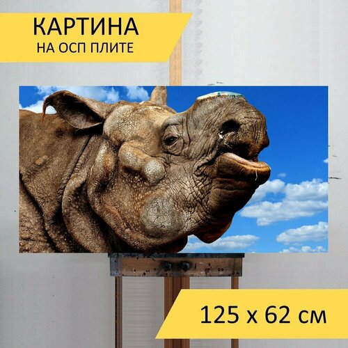 Картина на ОСП 125х62 см. "Носорог, животное, дикая природа" горизонтальная, для интерьера, с креплениями