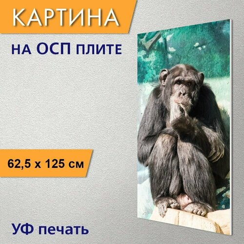Вертикальная картина на ОСП "Обезьяна, шимпанзе, животное" 62x125 см. для интерьериа