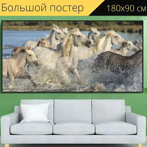 Большой постер "Камарг, лошади, животные" 180 x 90 см. для интерьера