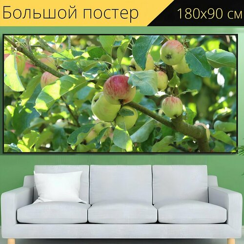 Большой постер "Яблоки, дерево, фруктовый сад" 180 x 90 см. для интерьера