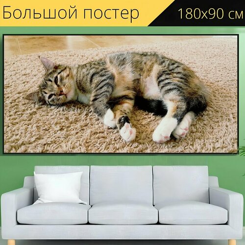 Большой постер "Котенок, кошка, домашний питомец" 180 x 90 см. для интерьера