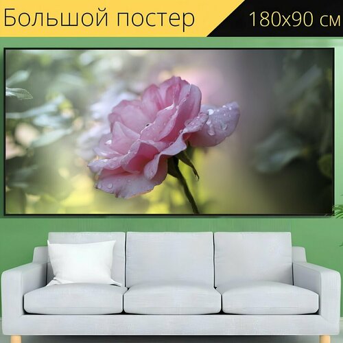Большой постер "Роза, розовая роза, цветок" 180 x 90 см. для интерьера