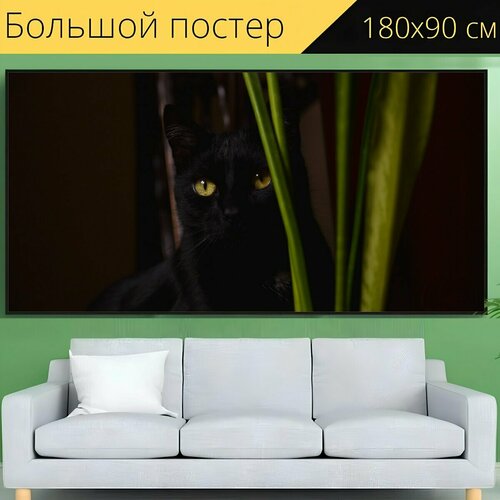 Большой постер "Кошка, чернить, домашняя кошка" 180 x 90 см. для интерьера