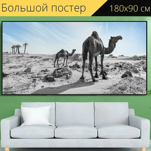 Большой постер "Верблюд, пустыня, аравия" 180 x 90 см. для интерьера