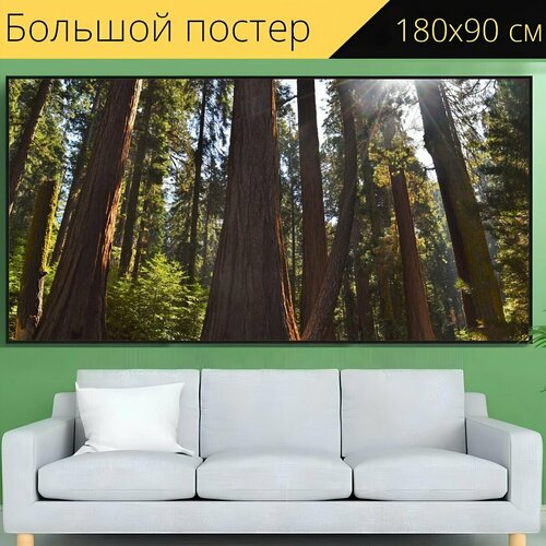 Большой постер "Лес, природа, листва" 180 x 90 см. для интерьера