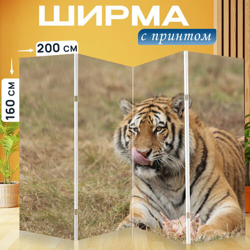 Ширма перегородка с принтом "Тигр, животное, дикая природа" на холсте - 200x160 см. для зонирования, раскладная