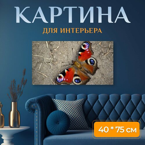 Картина на холсте "Бабочка, дорога, природа" на подрамнике 75х40 см. для интерьера
