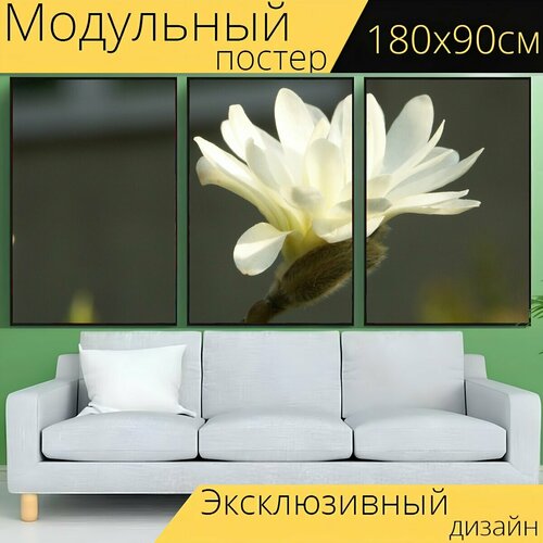Модульный постер "Магнолия, цвести, сад" 180 x 90 см. для интерьера