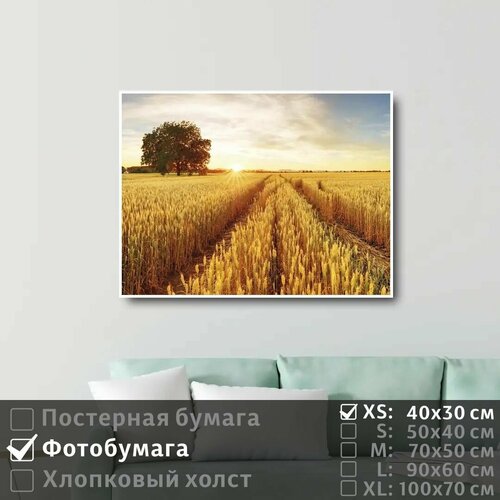 Постер на фотобумаге Восход Солнца Над Пшеничным Полем 40х30 см ПолиЦентр