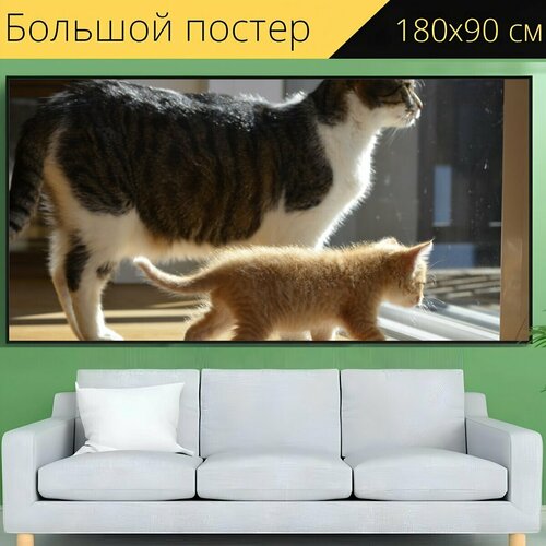Большой постер "Странной парой, кошки, котенок" 180 x 90 см. для интерьера