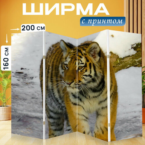 Ширма перегородка с принтом "Тигр, тигренок, большой кот" на холсте - 200x160 см. для зонирования, раскладная