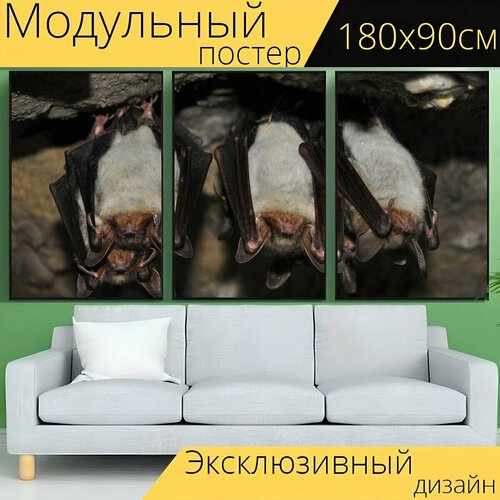 Модульный постер "Животные, летучая мышь, ночные животные" 180 x 90 см. для интерьера