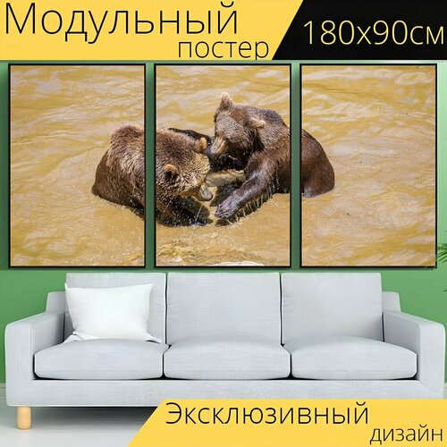 Модульный постер "Нести, бурый медведь, национальный парк" 180 x 90 см. для интерьера