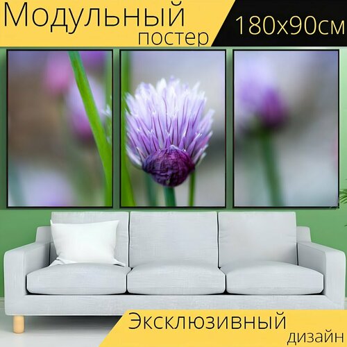 Модульный постер "Чеснок, цветок, луковичное растение" 180 x 90 см. для интерьера