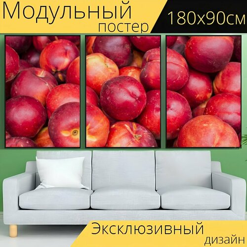 Модульный постер "Нектарины, фрукты, природа" 180 x 90 см. для интерьера