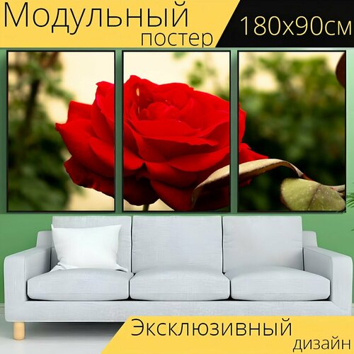 Модульный постер "Роза, красный, лепесток" 180 x 90 см. для интерьера