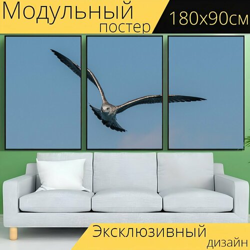 Модульный постер "Птица, полет, дикая природа" 180 x 90 см. для интерьера
