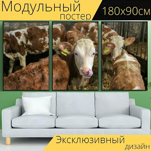 Модульный постер "Корова, фермерский двор, бычий" 180 x 90 см. для интерьера