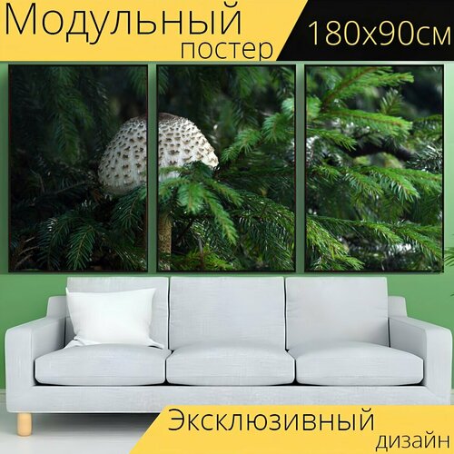 Модульный постер "Грибы, природа, лес" 180 x 90 см. для интерьера