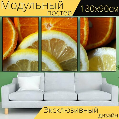 Модульный постер "Цитрусовые, еда, фрукты" 180 x 90 см. для интерьера
