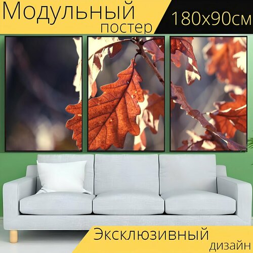 Модульный постер "Падение, листья, коричневый" 180 x 90 см. для интерьера