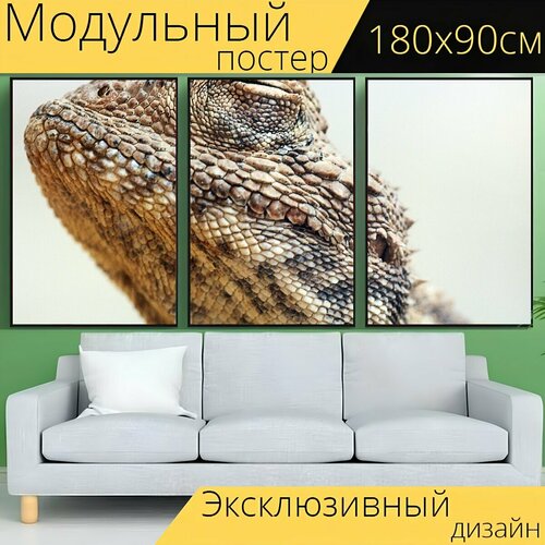 Модульный постер "Рептилия, ящерица, животное" 180 x 90 см. для интерьера
