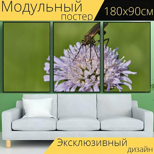 Модульный постер "Насекомое, цветок, цвести" 180 x 90 см. для интерьера