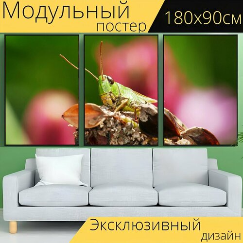 Модульный постер "Зеленый кузнечик, кузнечик, насекомое" 180 x 90 см. для интерьера