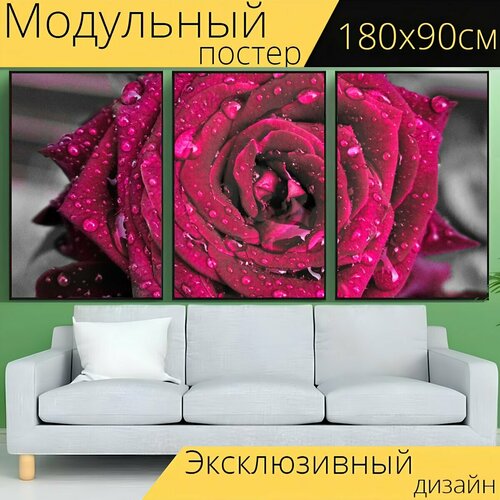 Модульный постер "Розы, сад, завод" 180 x 90 см. для интерьера
