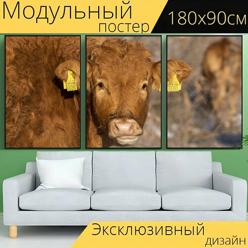 Модульный постер "Животное, корова, домашний скот" 180 x 90 см. для интерьера
