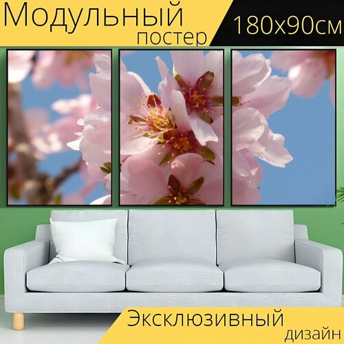 Модульный постер "Цветок миндаля, флорир, миндальное дерево" 180 x 90 см. для интерьера