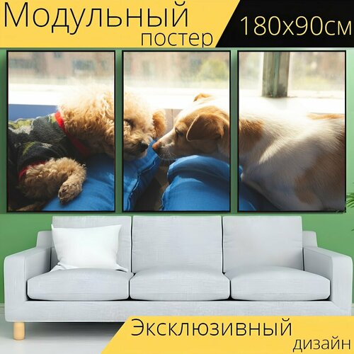 Модульный постер "Собака, домашний питомец, животное" 180 x 90 см. для интерьера
