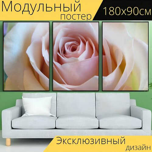 Модульный постер "Роуз, розовый, цветок" 180 x 90 см. для интерьера