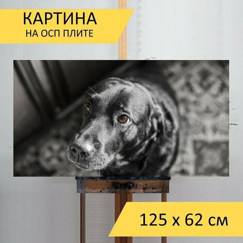 Картина на ОСП 125х62 см. "Собака, животные, портрет" горизонтальная, для интерьера, с креплениями