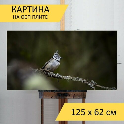 Картина на ОСП 125х62 см. "Европейская хохлатая синица, птица, природа" горизонтальная, для интерьера, с креплениями