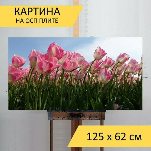 Картина на ОСП 125х62 см. "Тюльпаны, розовый, поля тюльпанов" горизонтальная, для интерьера, с креплениями