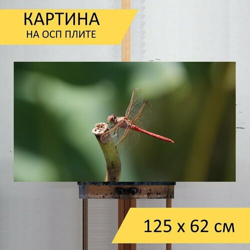 Картина на ОСП 125х62 см. "Стрекоза, насекомое, веточка" горизонтальная, для интерьера, с креплениями