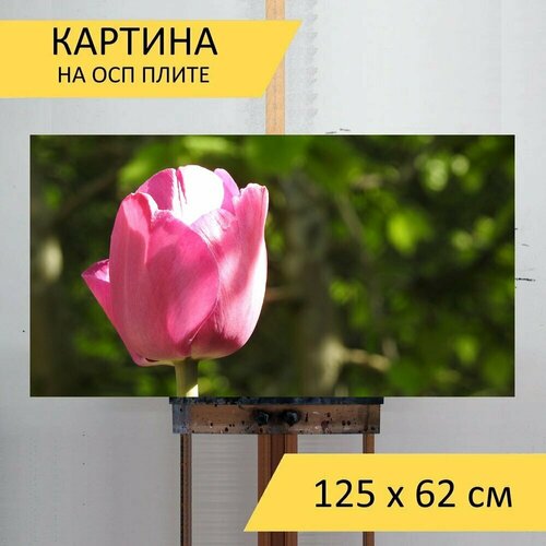 Картина на ОСП 125х62 см. "Тюльпан, цветок, природа" горизонтальная, для интерьера, с креплениями