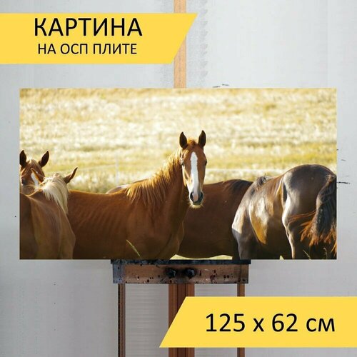 Картина на ОСП 125х62 см. "Пони, лошадь, грива" горизонтальная, для интерьера, с креплениями